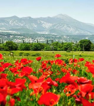 Visit Sinj | Sinj et ses environs